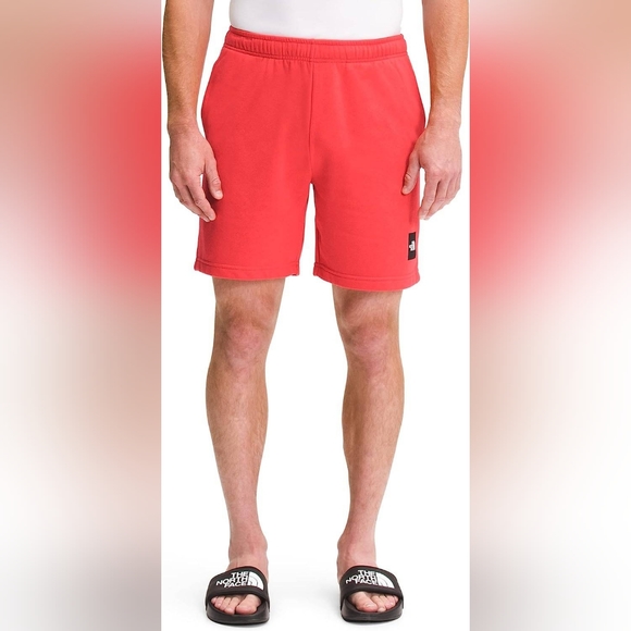 The North Face | Shorts | The North Face Mens Never Stop Red Shorts ...
